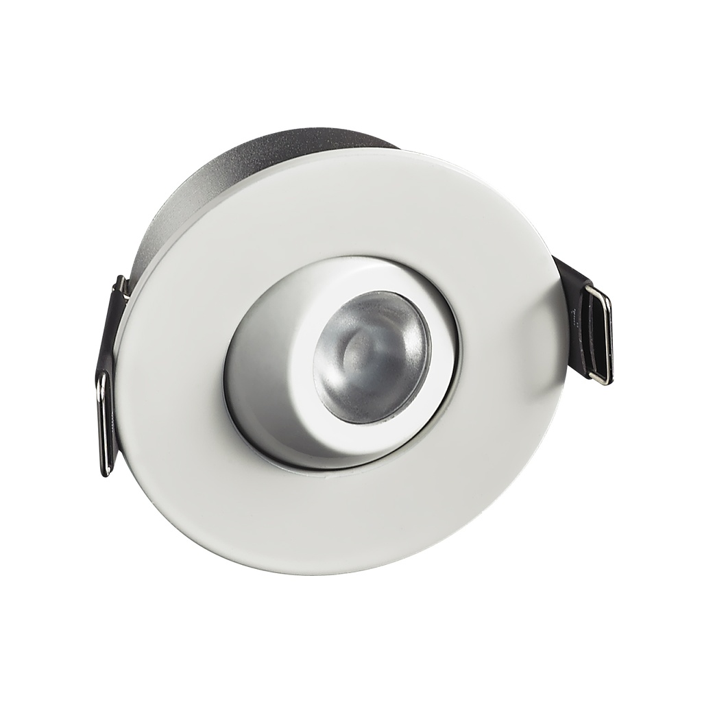 Mercury Directional 316SS Recessed Light